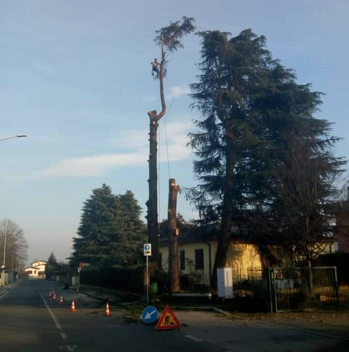 Peyzaj tasarımı Giacomo Manzoni, Lombardiya, foto