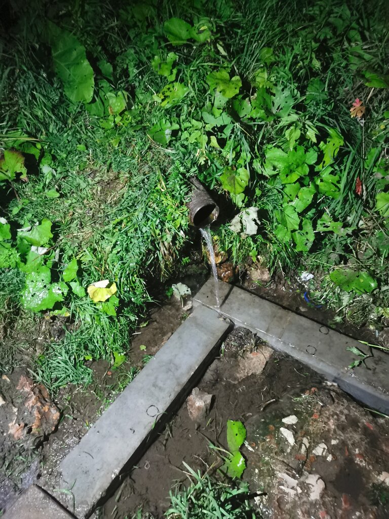Pınar, çay Spring, stream, Moskova ve Moskovskaya oblastı, foto