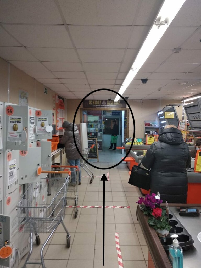 Bira dükkanı Fresh draft beer, Moskova, foto