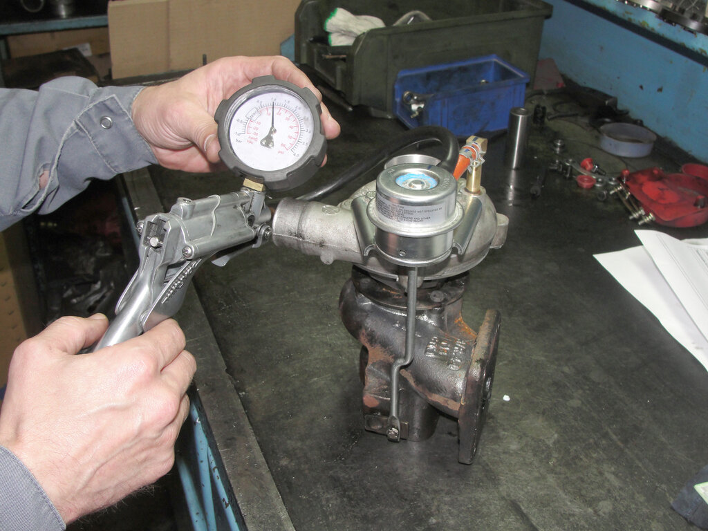 Otomobil yedek parçaları TurboMaster, Reutov, foto