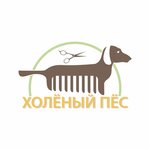 Холёный пёс (ulitsa Stroiteley No:21), evcil hayvan kuaförleri  Novouralsk'tan