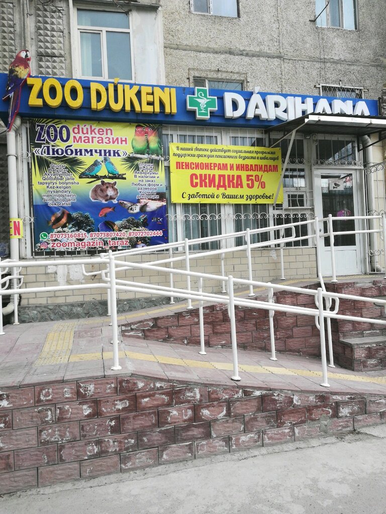 Eczaneler Dárihana, Taraz, foto