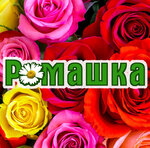 Romashka (prospekt Lenina No:60А), çiçekçiler  Marx'tan