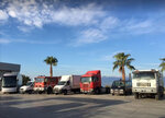 Iveco - Martino Vincenzo (Calabria, la città di Reggio di Calabria), i̇kinci el araç  Calabria'dan
