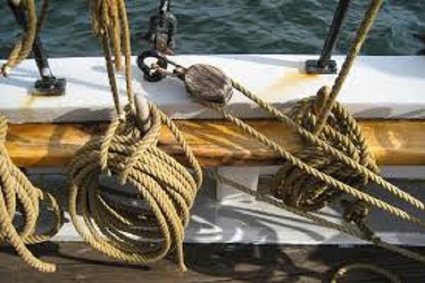 Tekne, kayık, yat Marine Sport, Sardunya, foto