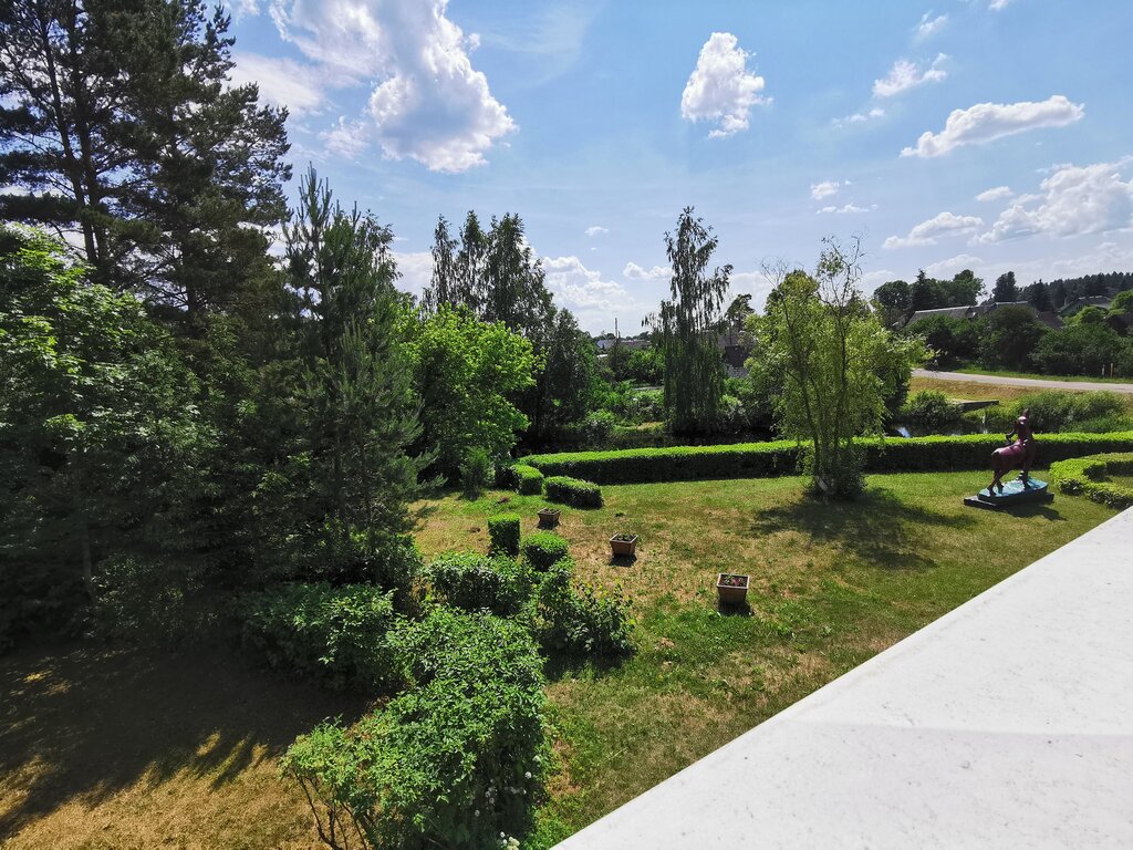 Orman işleri Bogushevsky leskhoz GLKhU, Vitebskaya oblastı, foto