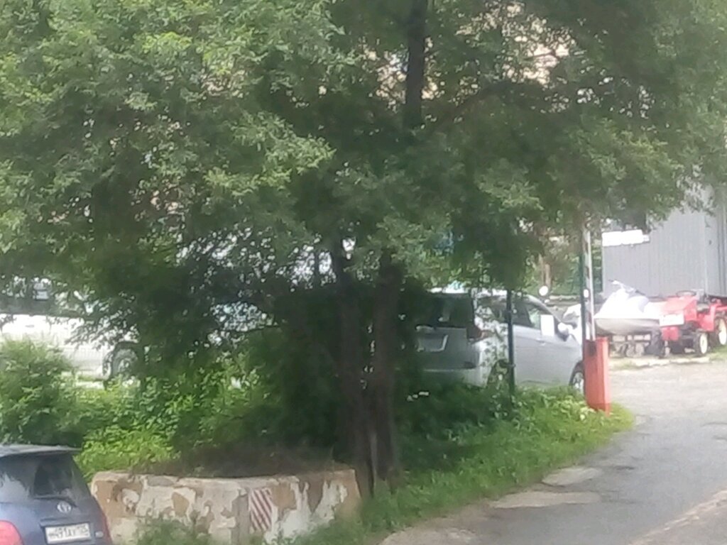 Otoparklar Автостоянка, Vladivostok, foto