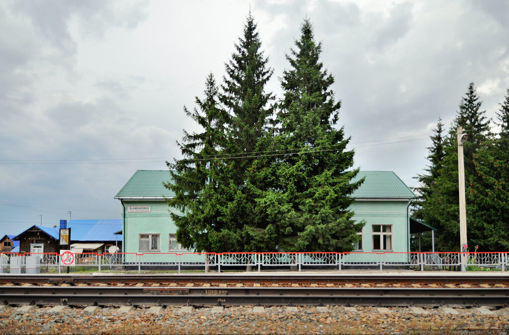 Tren istasyonu станция Баюново, Altayski krayı, foto