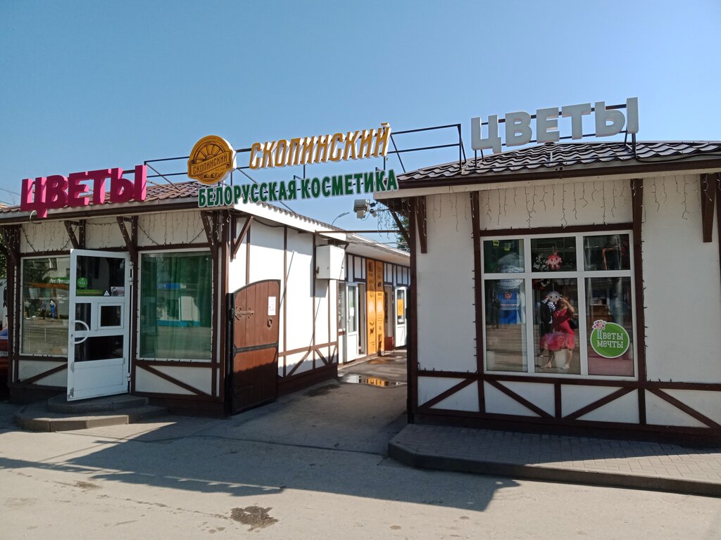 Kasap, şarküteri Skopinskiy, Riazan, foto