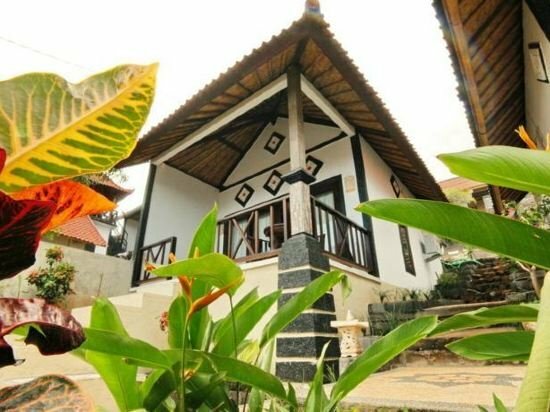 Otel Warung Ary & Home Stay, Bali, foto