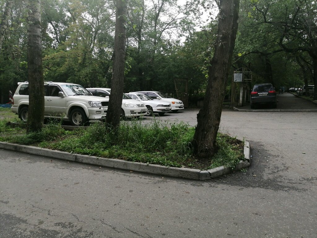 Otoparklar Parking lot, Habarovsk, foto