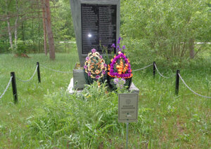 Братская могила (Kaluga Region, Khvastovichskiy rayon, selskoye poseleniye Kudryavets, derevnya Palkevichi), anıt, heykel  Kalujskaya oblastından