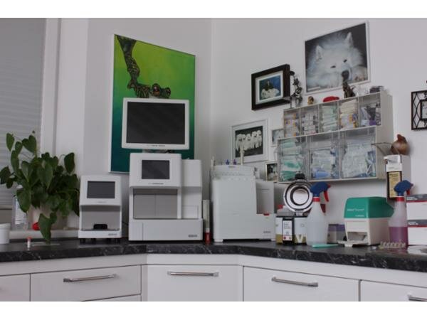 Veteriner klinikleri Tierarztpraxis Kim-Dorn GmbH, Yukarı Avusturya, foto