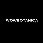Wowbotanica (1st Karacharovskaya Street No:8с20), i̇ç dekorasyon ürünleri  Moskova'dan