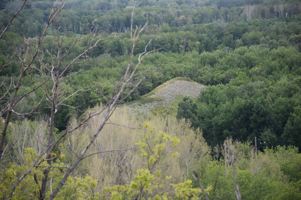 Dağ zirvesi Стог-гора, Orenburgskaya oblastı, foto