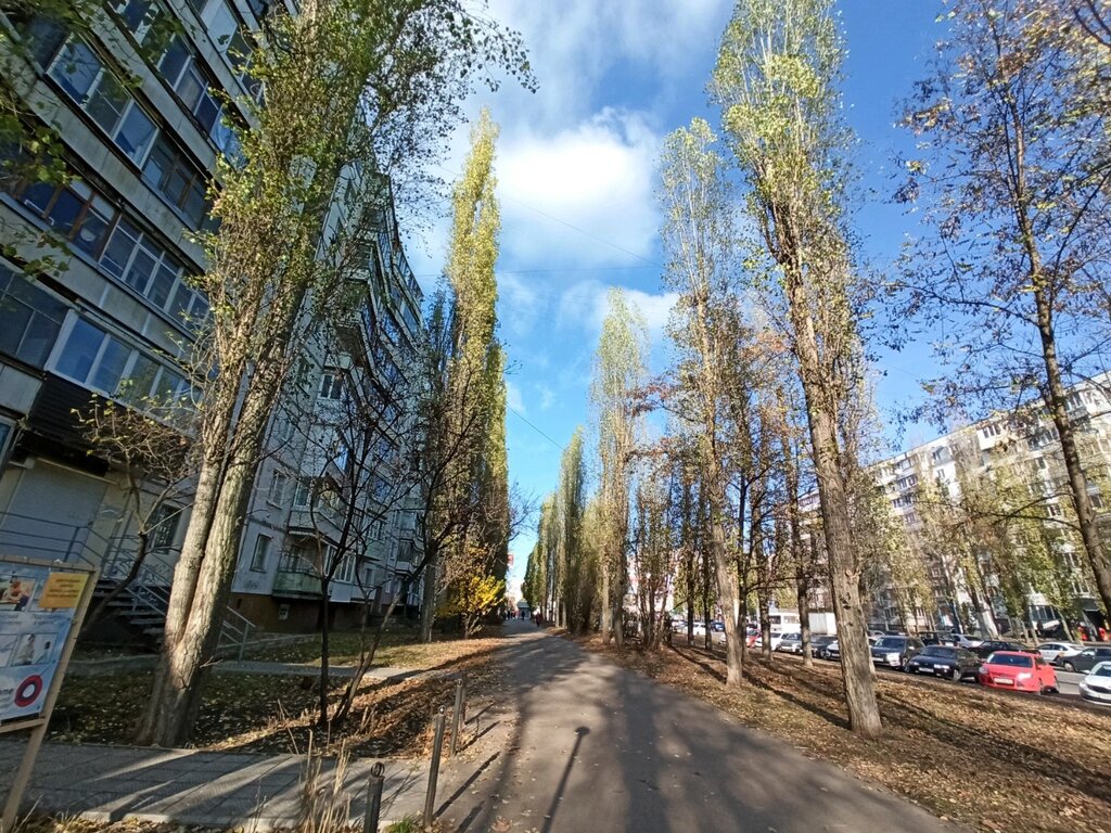 Meydan Бульвар Жукова, Voronej, foto