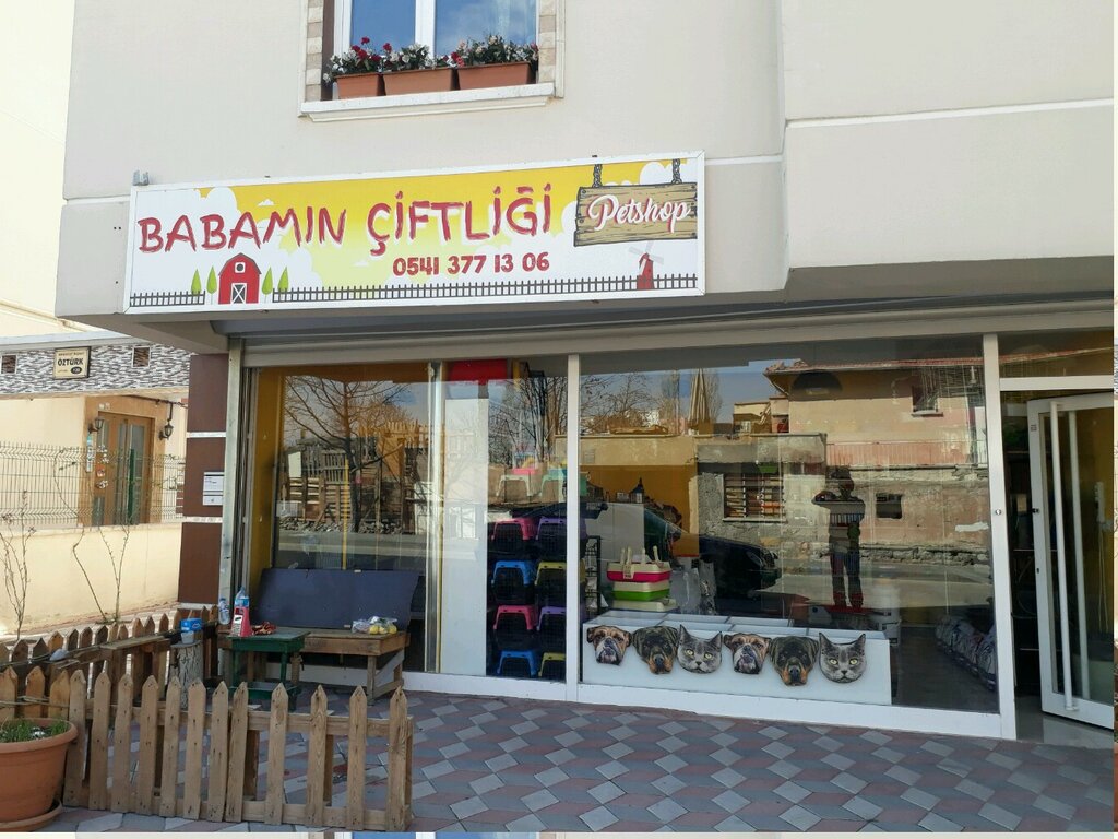 Petshop Babamın Çiftliği Petshop, Ankara, foto