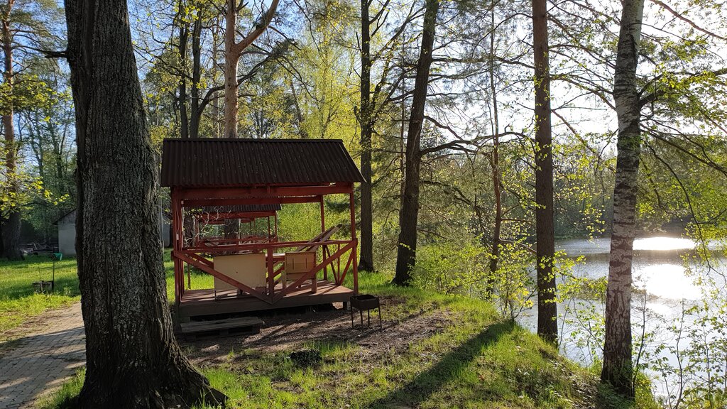 Kamp alanları Kemping park, Vladimirskaya oblastı, foto