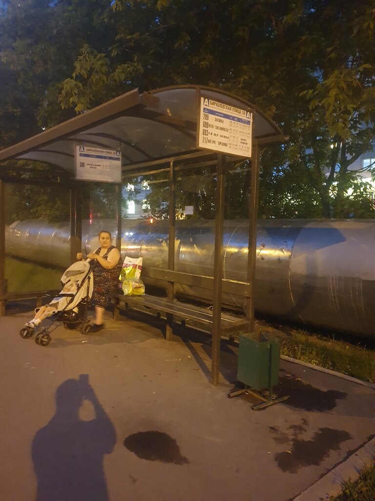 Toplu taşıma durağı Biryulevskaya Street, 58, Moskova, foto