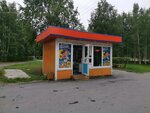 Продукты (улица Островского No:20), market  Surgut'tan