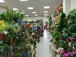 Iskusstvennaya flora (Universalnaya ulitsa No:19/7), yapay bitki ve çiçek  Omsk'tan
