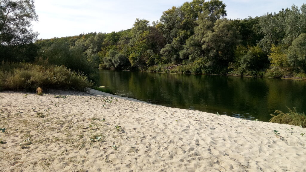 Plaj Beach, Voronejskaya oblastı, foto