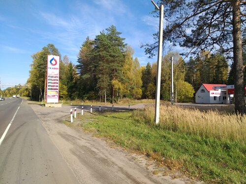 Benzin istasyonu Gazoil, İvanovskaya oblastı, foto