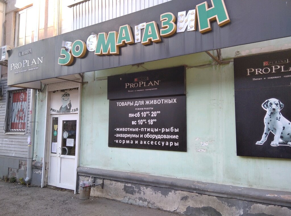 Petshop Rikki-Tikki-Tavi, Samara, foto