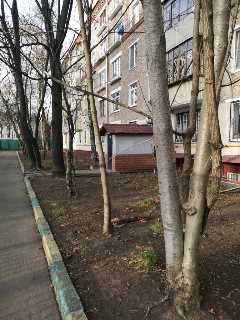 Gazete ve dergiler История Науки и Техники, Moskova, foto