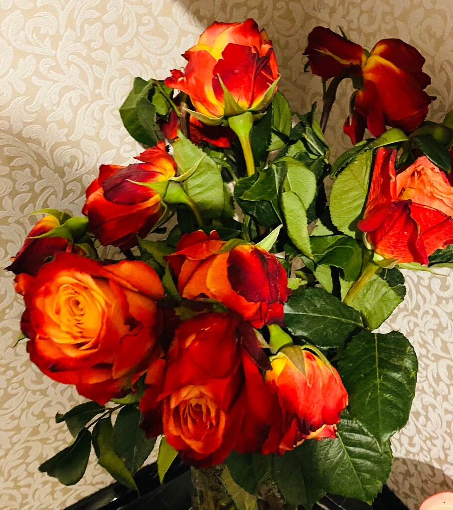 Çiçekçiler Мир цветов, Murmansk, foto