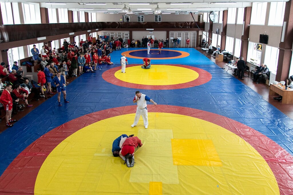 Spor okulları Mbudo Sh № 19, Voronej, foto