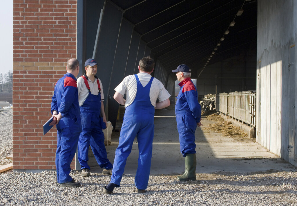 Tarım makineleri, ekipmanlar Umnaya ferma, Yaroslavskaya oblastı, foto