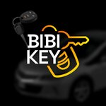 Bibi Key (Sredneokhtinskiy Avenue No:53), araba anahtarları  Saint‑Petersburg'dan