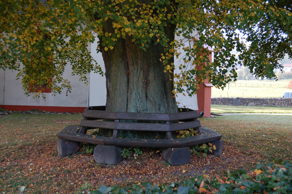 Dini dernekler Evangelische Johanneskirche - Evangelische Johanneskirchengemeinde Niederseelbach, Hesse, foto