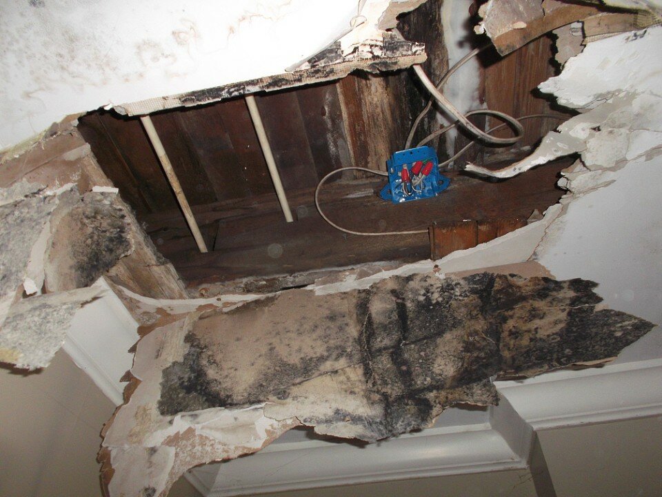 Halı yıkamacılar Servpro of Asheville East, Kuzey Carolina Eyaleti, foto