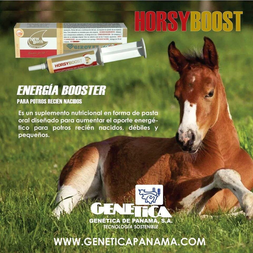 Evcil hayvan kuaförleri Genética de Panamá, Dünya, foto