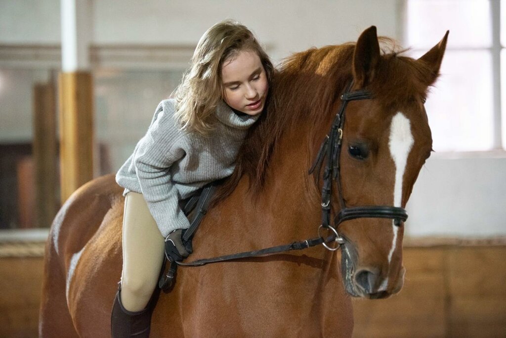 At ve binicilik kulüpleri Riding School, Moskova, foto