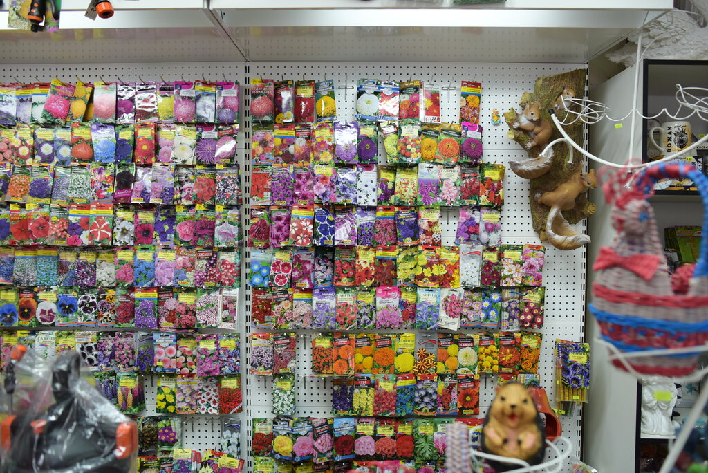 Bahçecilik mağazaları Ваш сад, Tulskaya oblastı, foto