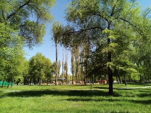 Yuzhny (Voronezh, Yuzhny park), kültür ve eğlence parkları  Voronej'den