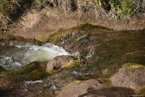 Водопад Шум (Orenburg Region, reka Maly Uran), şelale  Orenburgskaya oblastından