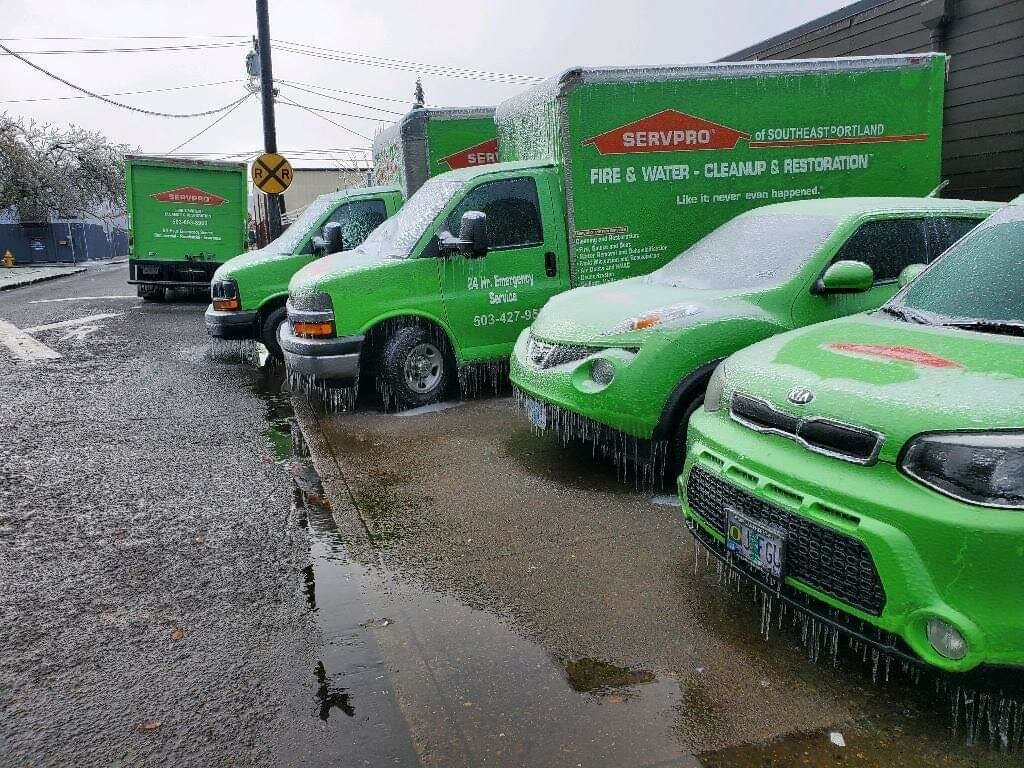 Halı yıkamacılar Servpro of Southeast & Northeast Salem, Woodburn, foto