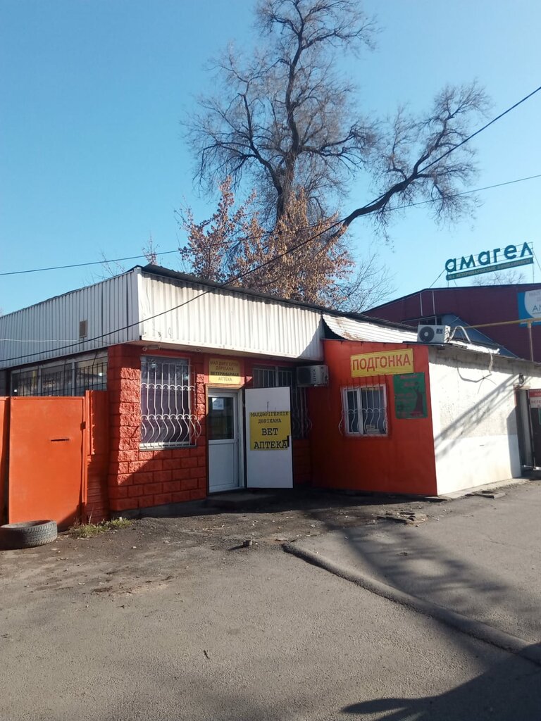 Veteriner klinikleri Zveropolis, Almatı, foto