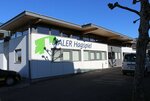 Markus Hagspiel (Vorarlberg, Feldkirch, Langgasse, 108), boya ekipmanları  Vorarlberg'den