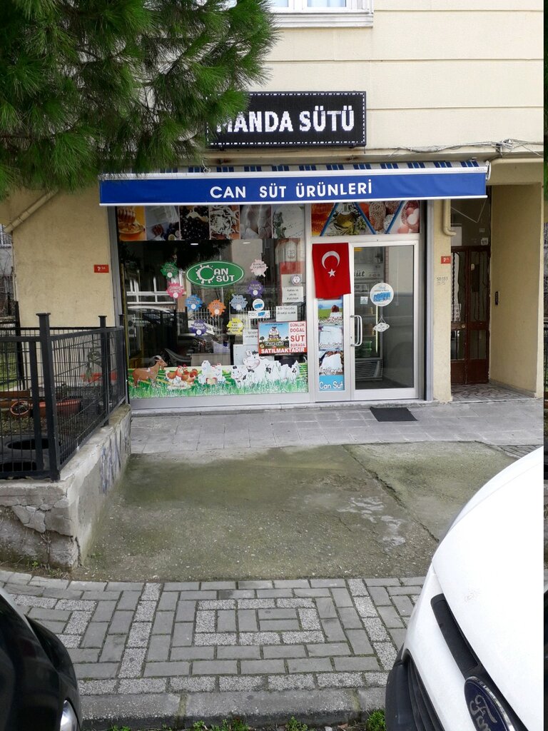 Süt ürünleri satış mağazaları Can Süt, İstanbul, foto