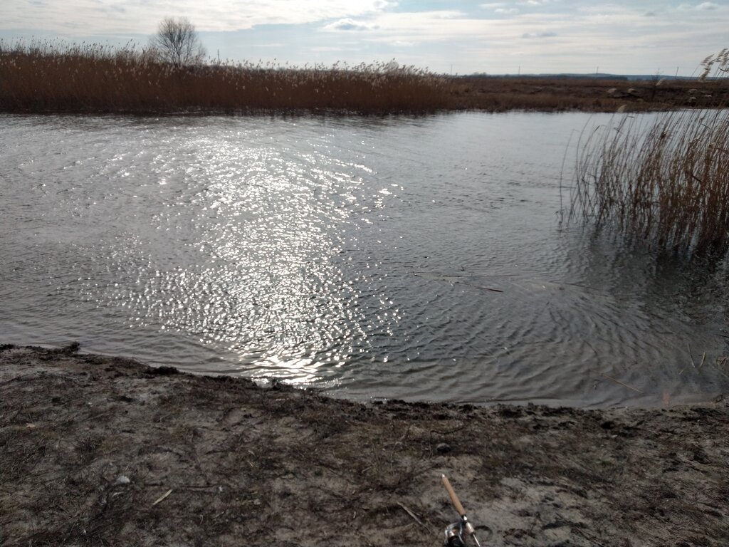 Plaj Пляж, Belgorodskaya oblastı, foto