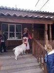 Istoriko-Etnografichesky Muzey Chechersky (Першамайская вуліца No:2), müzeler ve sanat galerileri  Chechersk'ten