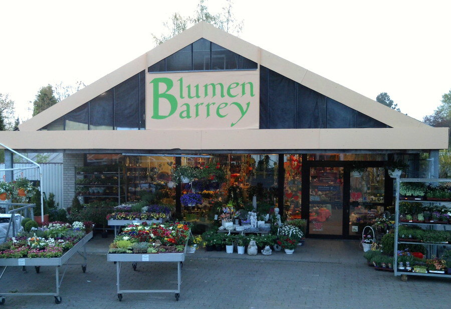 Çiçek teslimatı Blumen Barrey, Kuzey Ren‑Vestfalya, foto