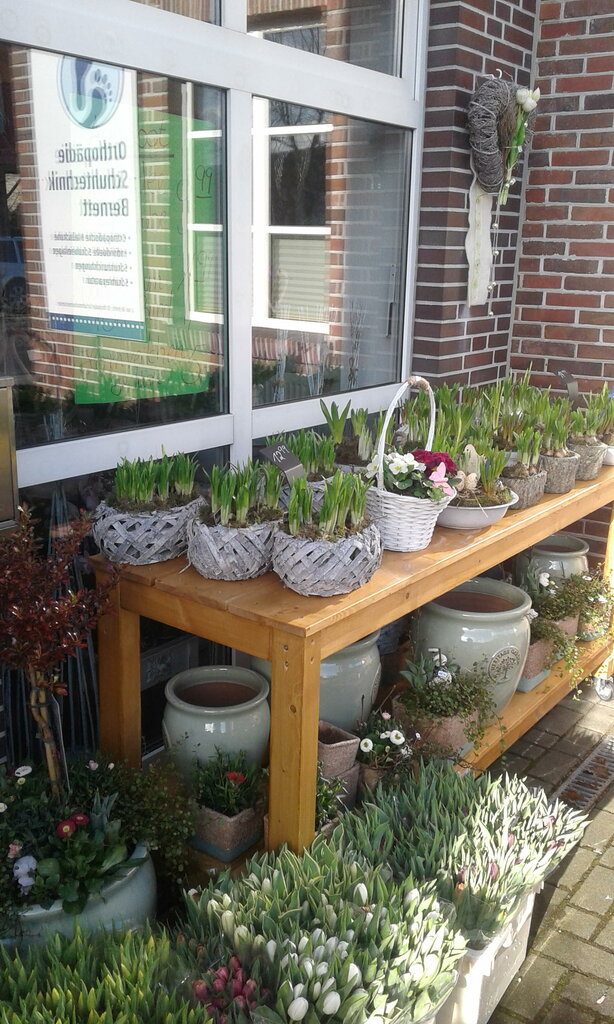 Posta hizmeti Zaubergarten Gbr magische Blumenwelten, Wildeshausen, foto