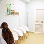 КранцМур (Okruzhnaya ulitsa No:7), veteriner klinikleri  Zelenogradsk'tan
