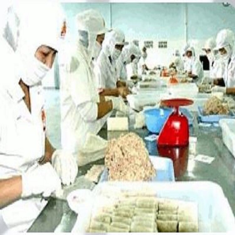 Sanayi ekipmanları firmaları Ipm Exterminator, San Salvador, foto